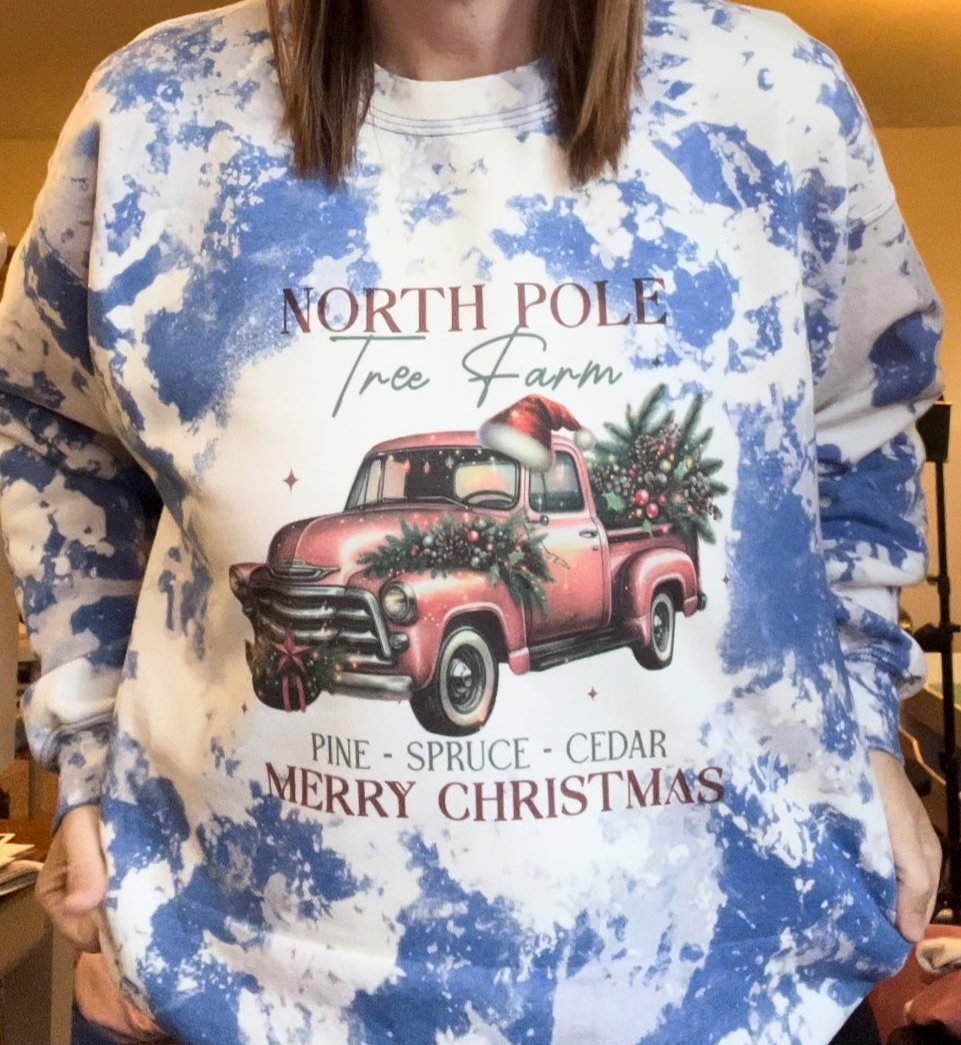Blue North Pole Red Truck Double Bleach Sweatshirt – Henry & Hannah